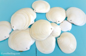 How To Use Seashells For Gift Tags | I Love Shelling