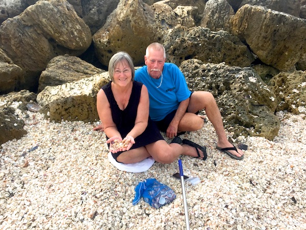 Spectacsheller Shell Mountain | I Love Shelling