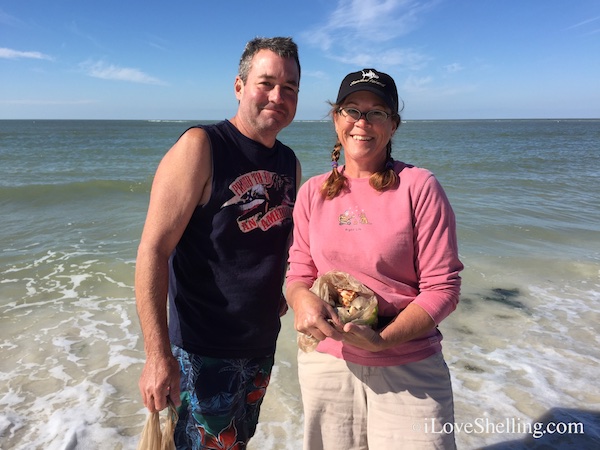 It’s The Shelliday Season On Sight Sea-R | I Love Shelling