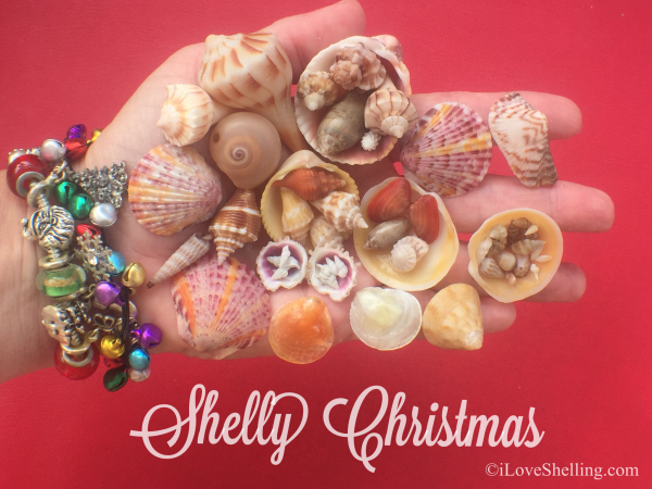 Shelly Christmas | I Love Shelling