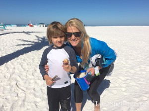 Finding Seashells on Clearwater Beach | I Love Shelling