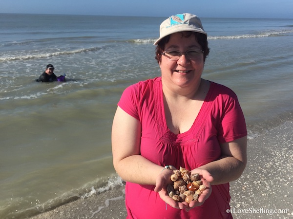 Shellabaloo Shell Adventure Is Shellsational | I Love Shelling