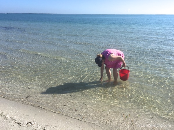 A Shelling Day For Angels | I Love Shelling