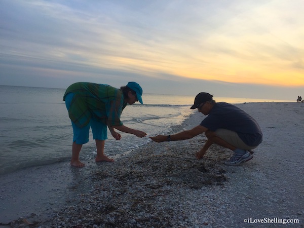 New Years Reshellution | I Love Shelling