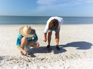 Shelling Trip Shellicious Sea Gems | I Love Shelling