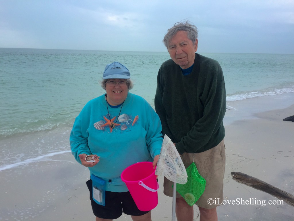 Baby Ear Shells Heard Our Call | I Love Shelling
