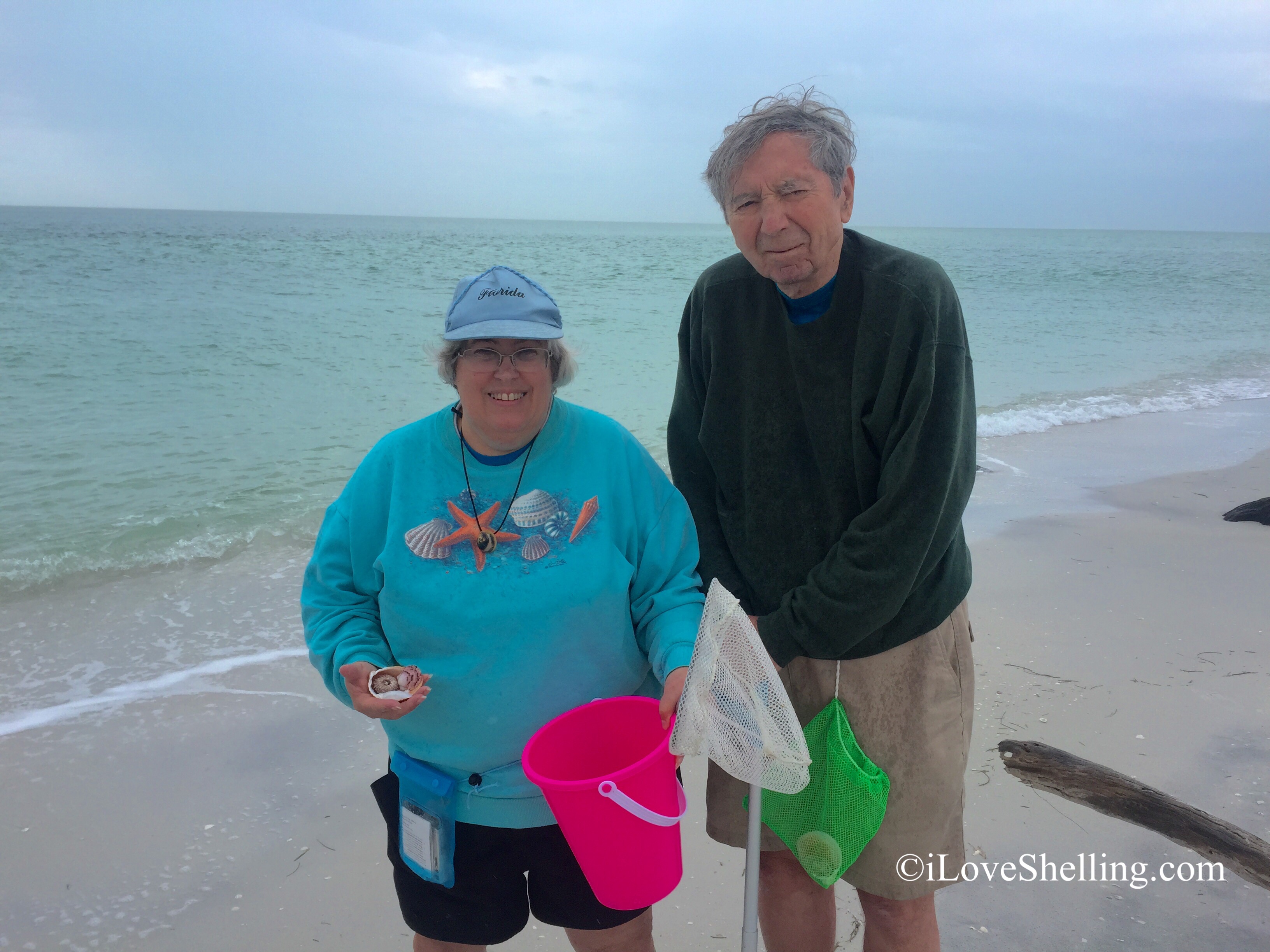 Baby Ear Shells Heard Our Call | I Love Shelling