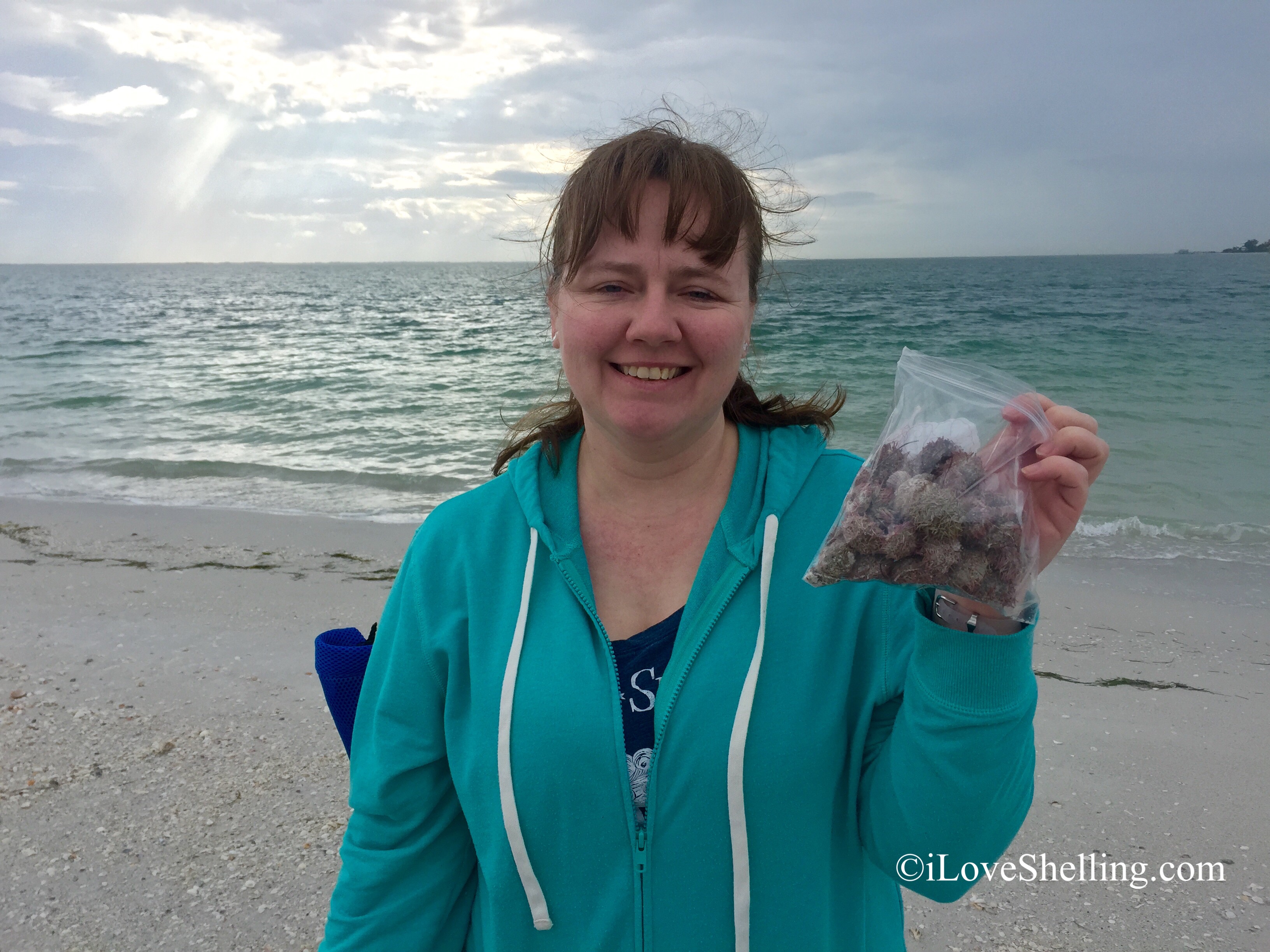 Baby Ear Shells Heard Our Call | I Love Shelling