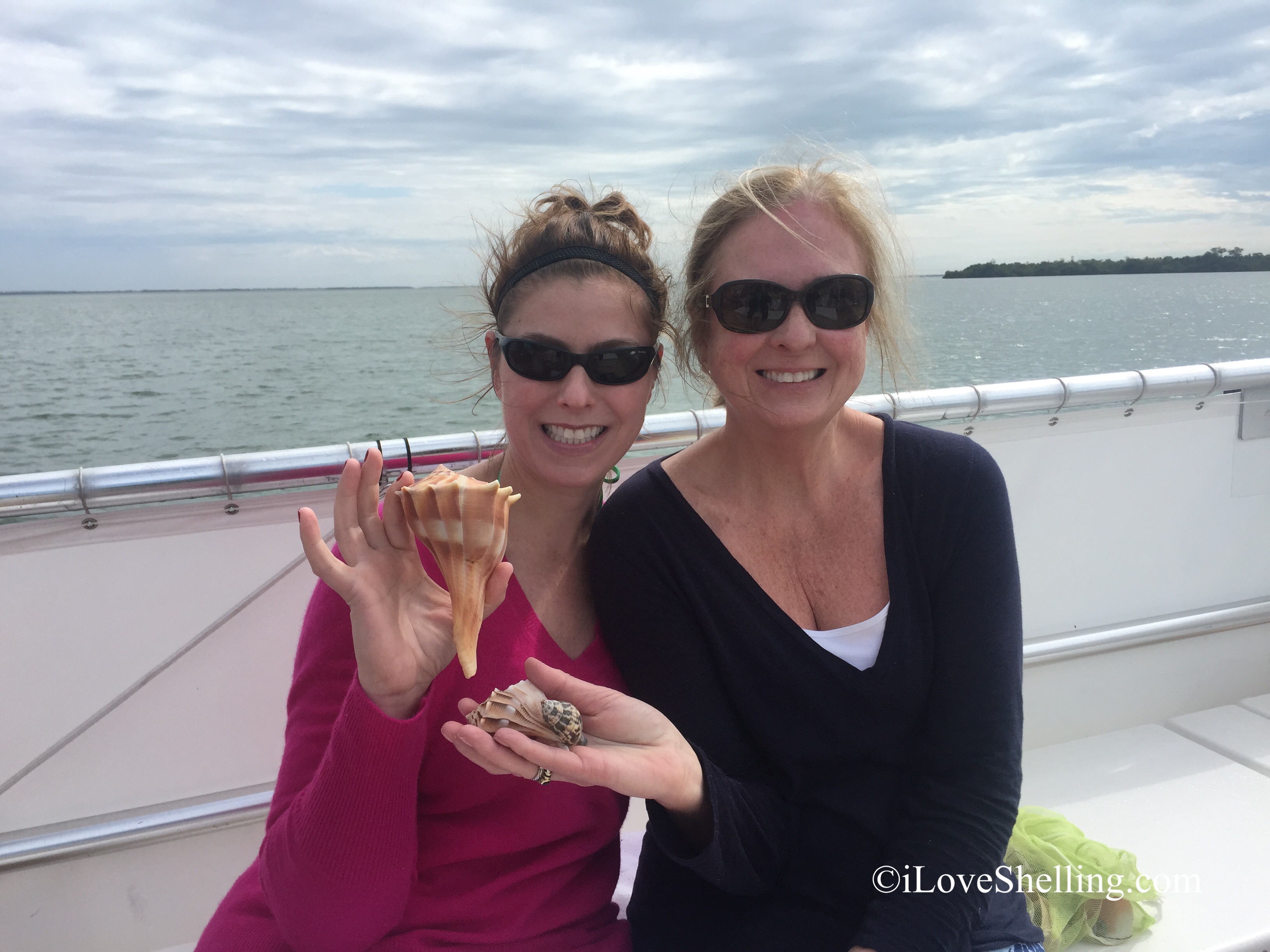 Baby Ear Shells Heard Our Call | I Love Shelling