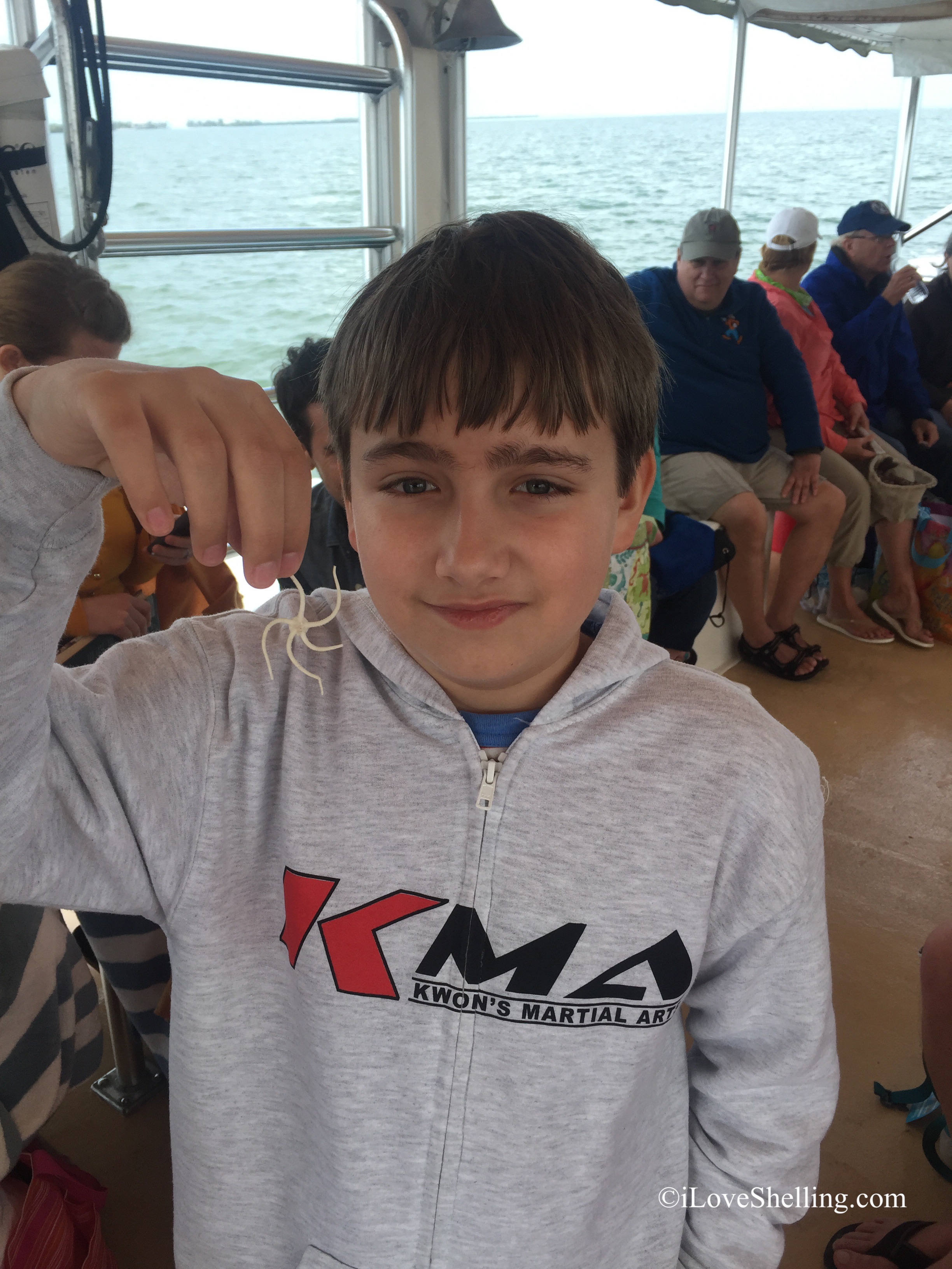 Baby Ear Shells Heard Our Call | I Love Shelling