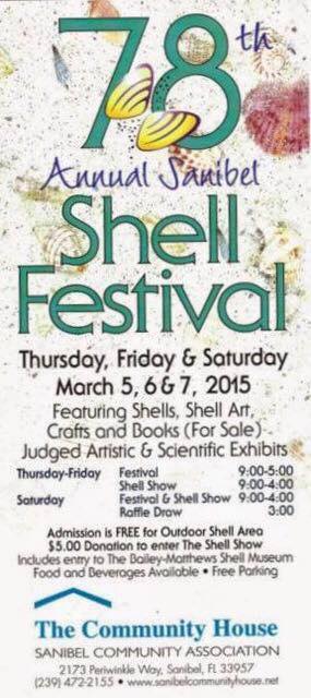 Shellectric Seashells | I Love Shelling