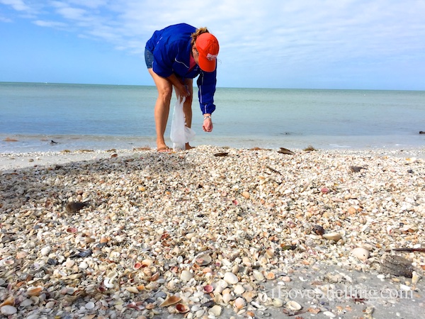 Collecting Florida shells and beach bling in March | I Love Shelling