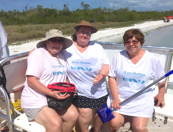 Shelling at Crystal Clear Cayo Costa | I Love Shelling