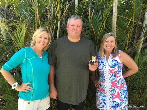 Lost And Found On Sanibel- It Takes A Social Shell Village | I Love ...