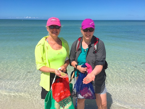 Skies Of Blue, Seashells In View | I Love Shelling
