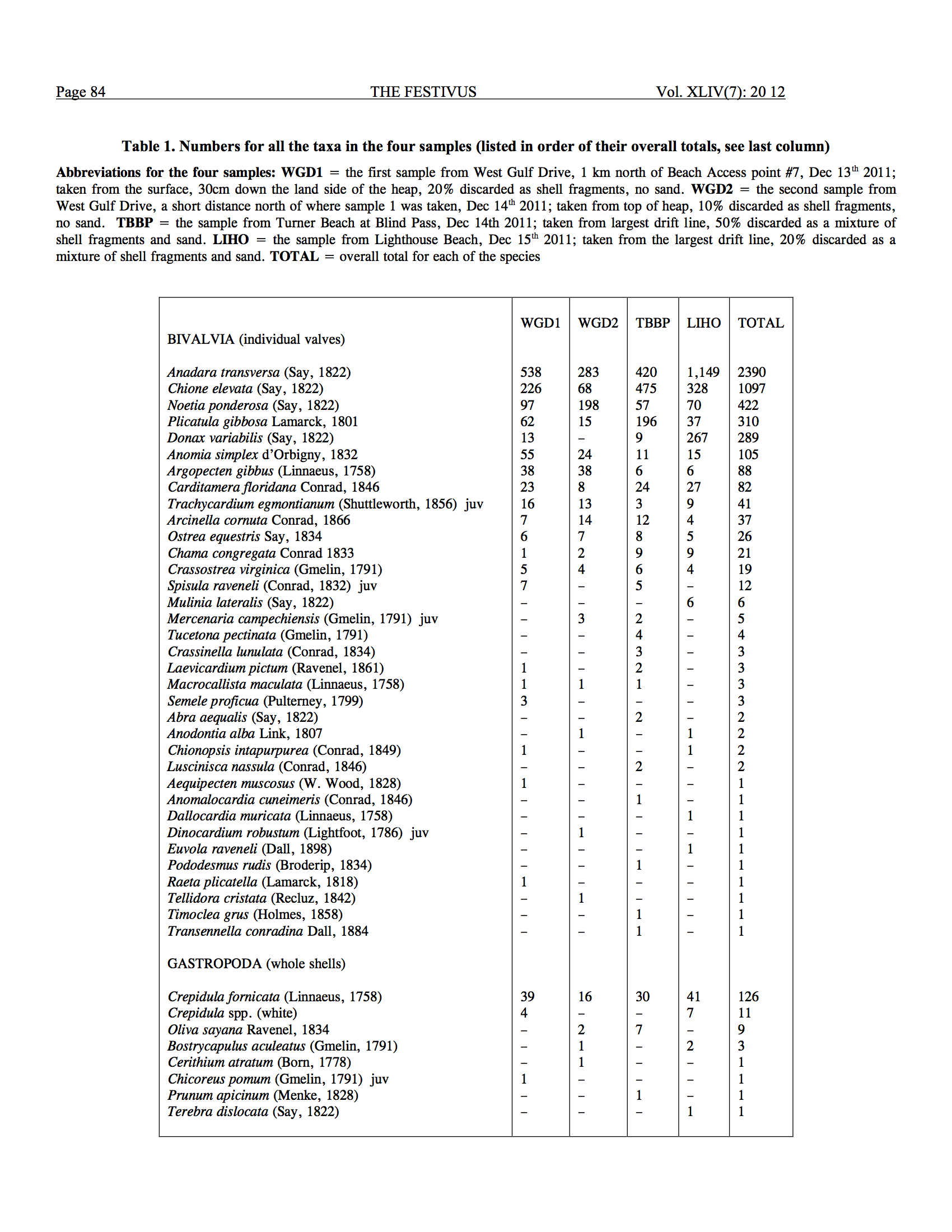 6 Most Common Shells in Beach Drift on Sanibel Florida | I Love Shelling