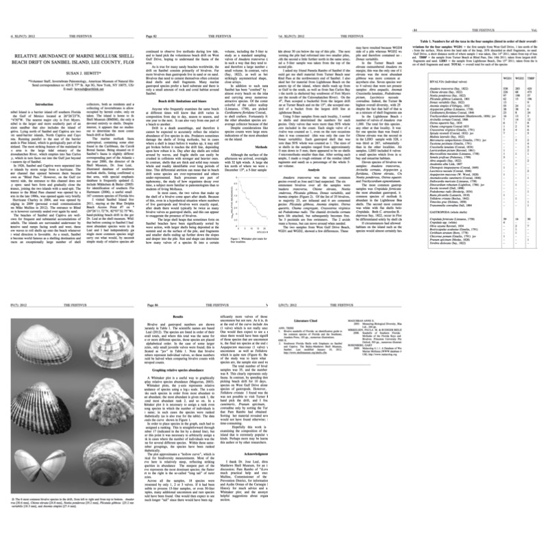 Ark | i Love Shelling