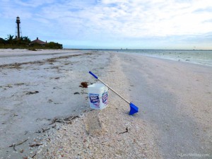 6 Most Common Shells On Sanibel Island, Florida | I Love Shelling