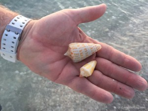 Sanibel Sunsets and Seashells | I Love Shelling