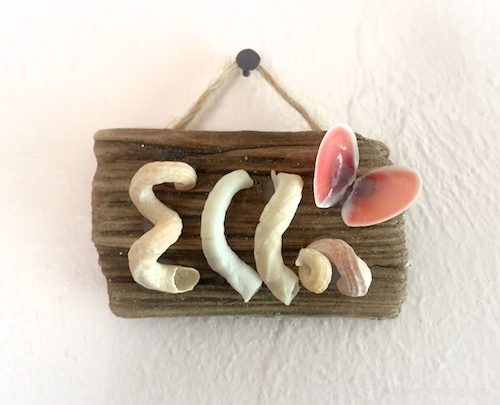 Whimsical World Of Worm Shells | I Love Shelling