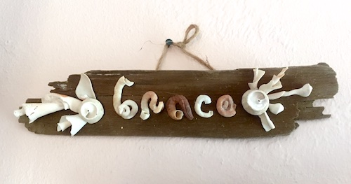 Whimsical World Of Worm Shells | I Love Shelling