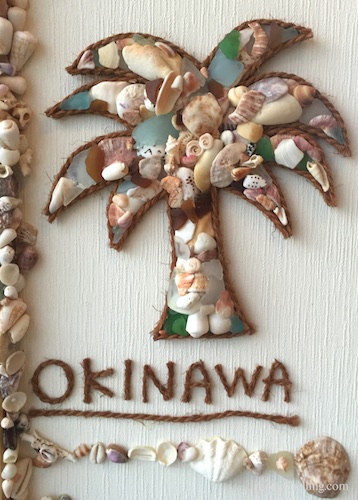 Gone Extreme Shelling- Across the World | I Love Shelling