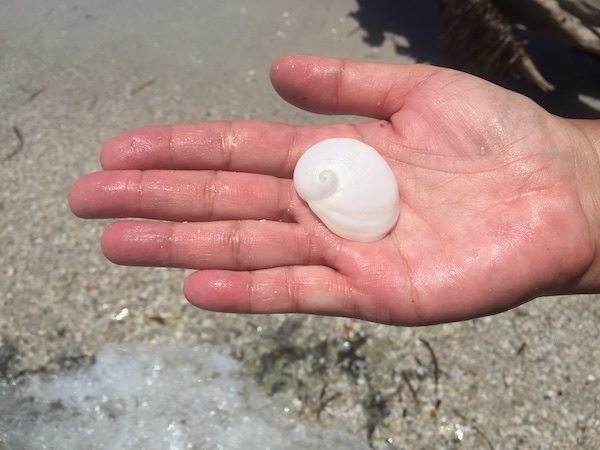 Good Day On The Water In SW Florida | I Love Shelling