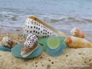 Sea Glass Beach Finds While Beach Combing Okinawa | I Love Shelling