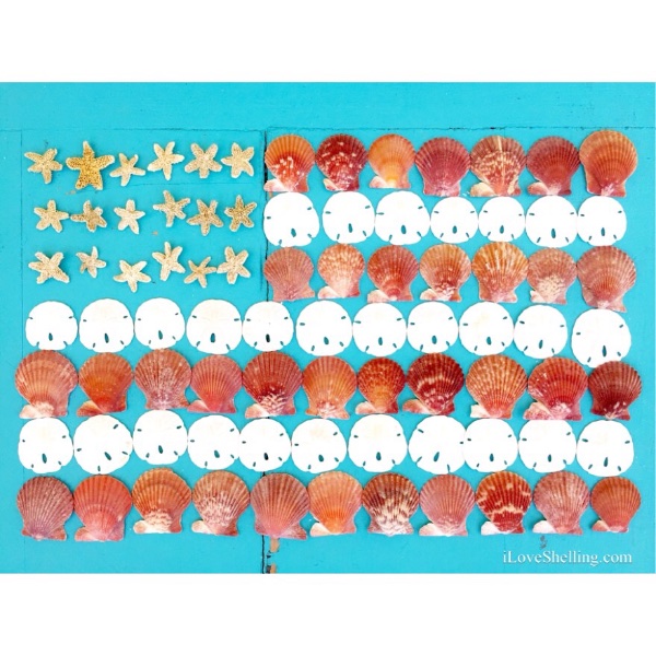Have a Beachy July 4th! | I Love Shelling