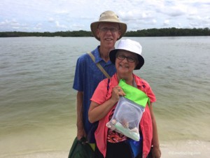 Everything’s Coming Up Rose Petal Tellins in Big Hickory | I Love Shelling