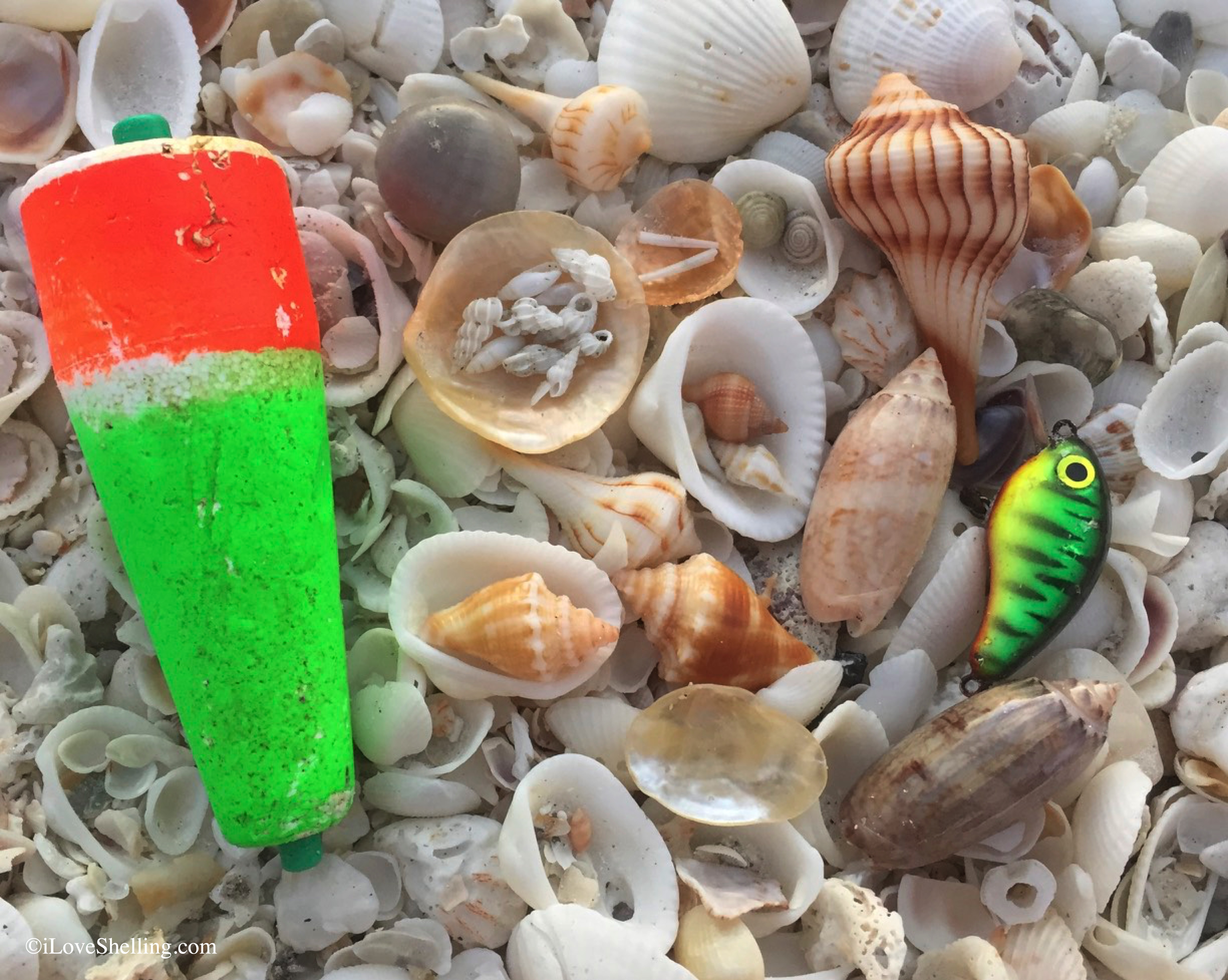 small shells and fishing bling small shells and fishing bling – I Love ...