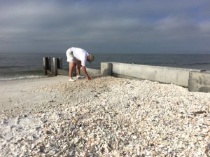 Boating for Seashells, Dolphins and Alpha-Gators | I Love Shelling