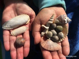 Freaking Out For Shell Heaven | I Love Shelling