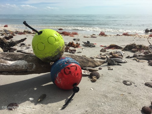 I See A Sea Of Beach Bling | I Love Shelling