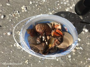 The Calm After The Sanibel Seashell Storm | I Love Shelling