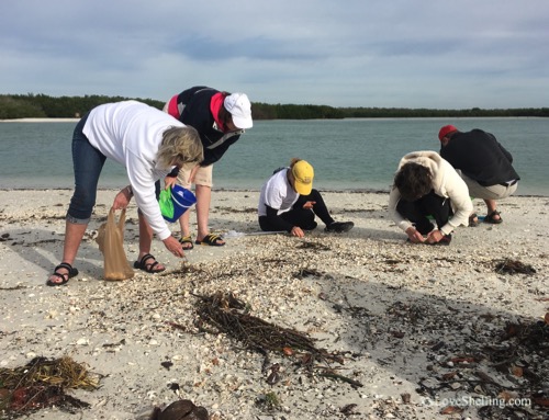 Freaking Out For Shell Heaven | I Love Shelling