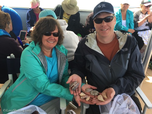 Beach Bucks To Big Whelks – Our Shelling Adventure | I Love Shelling