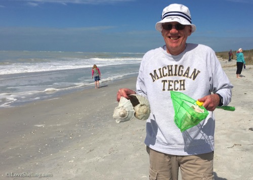 Beach Bucks To Big Whelks – Our Shelling Adventure | I Love Shelling