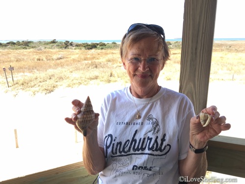 Crazy Carolina Beach Combing – Shelling Trip To Portsmouth Island ...