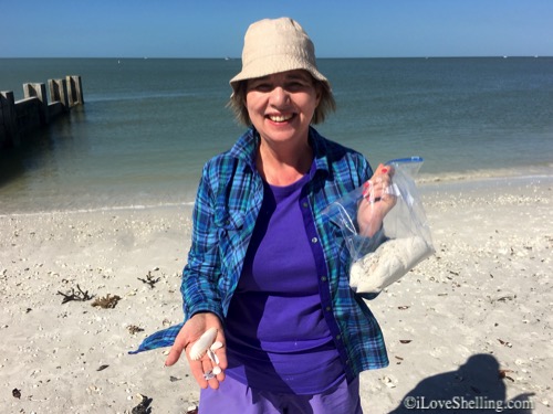 Cruisin’ To Cone Shell Country | I Love Shelling