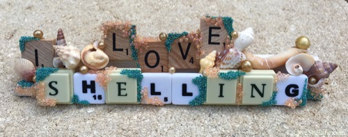 They Should Call This Place Treasure Island | I Love Shelling