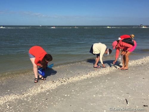Cruisin’ To Cone Shell Country | I Love Shelling