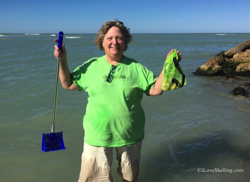 Ebb And Flow Of Life and Shelling | I Love Shelling