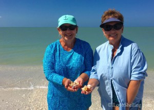 Give Yourselves A Hand… Of Seashells | I Love Shelling