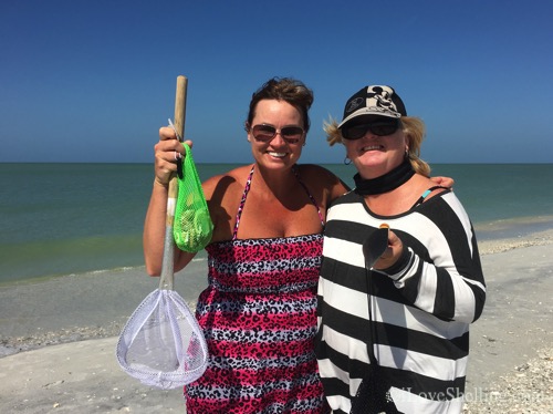 Give Yourselves A Hand… Of Seashells | I Love Shelling