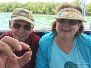 Wings Of Angel Shells On Big Hickory | I Love Shelling