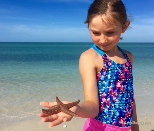 Wings Of Angel Shells On Big Hickory | I Love Shelling