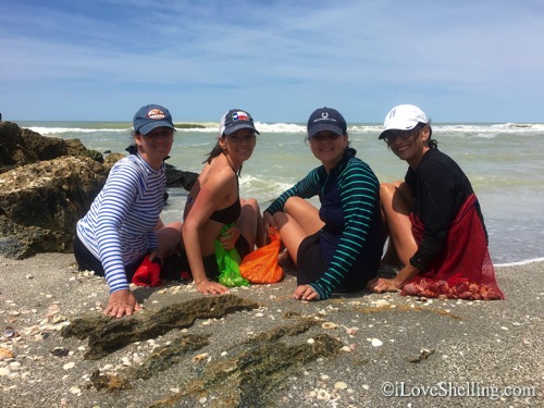 Family Shell Talk | I Love Shelling