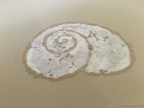 Bunch Of Fun At Bunche Beach | I Love Shelling