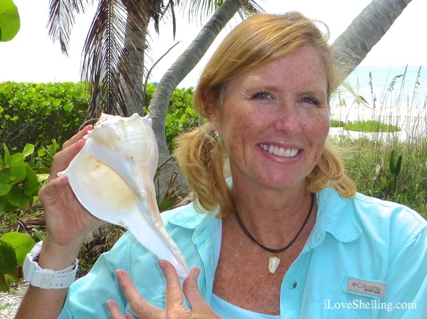 Make A Wish… For 2 Night Stay Island Inn Sanibel Giveaway | I Love Shelling